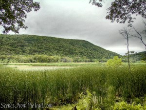 Thompson Pond Preserve Loop