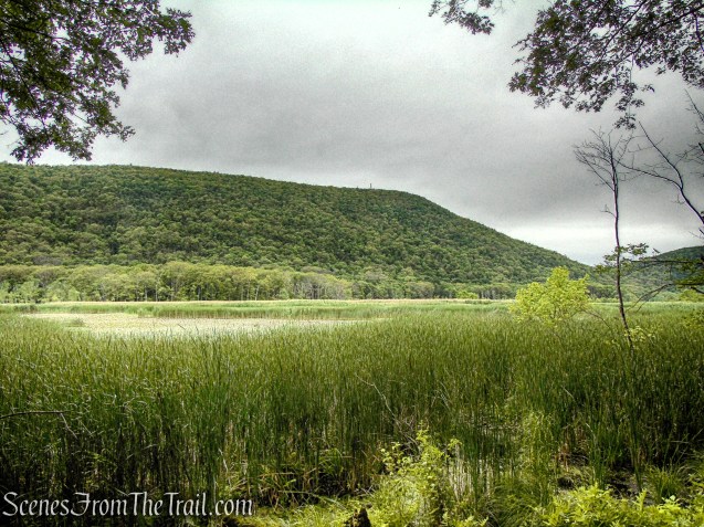 Stissing Fire Tower Loop