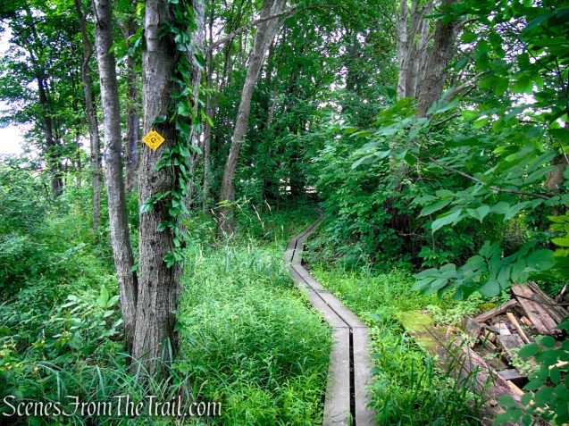 Thompson Pond Preserve Loop