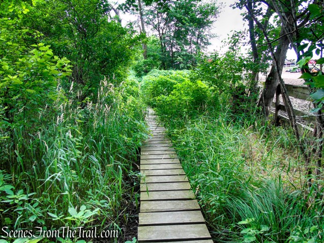 Thompson Pond Preserve Loop