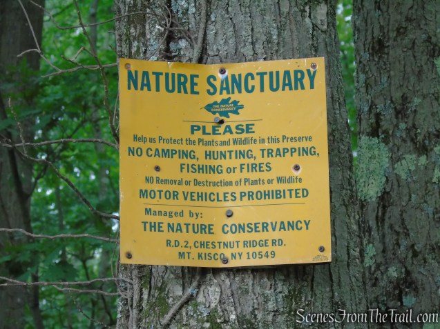 Thompson Pond Preserve Loop