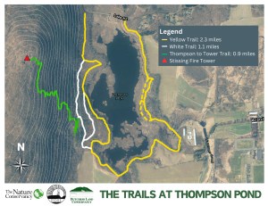 Thompson Pond Preserve Loop