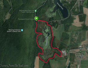 Thompson Pond Preserve Loop