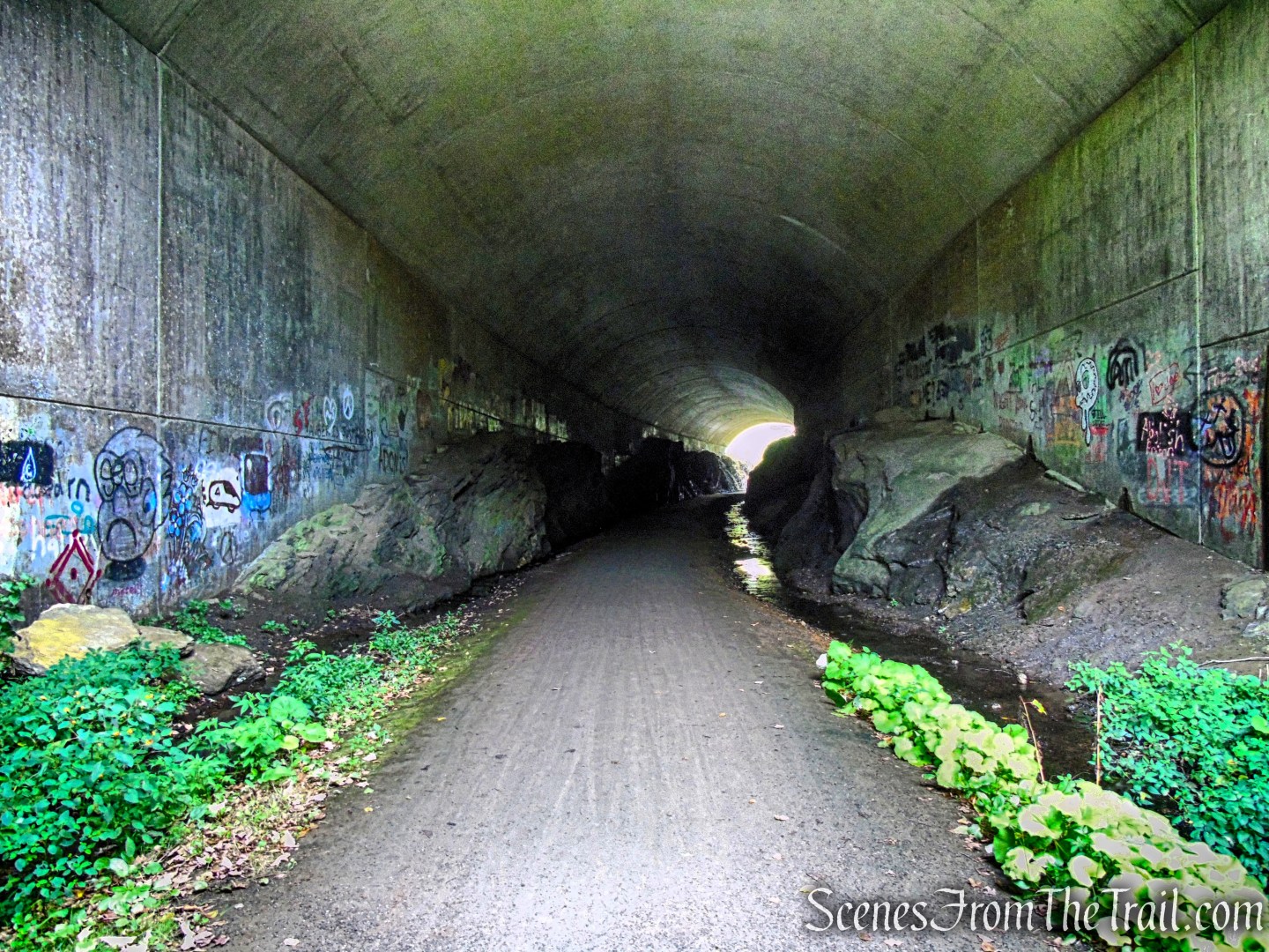 Squaw Cave, Flag Rock and Mohegan Trail Loop – Bolton Notch State Park