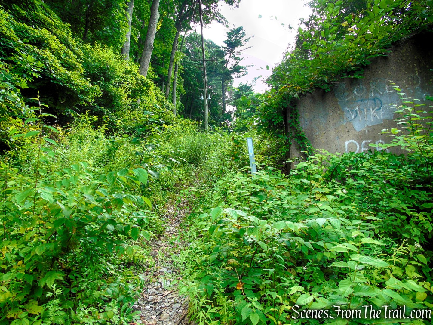 Squaw Cave, Flag Rock and Mohegan Trail Loop – Bolton Notch State Park