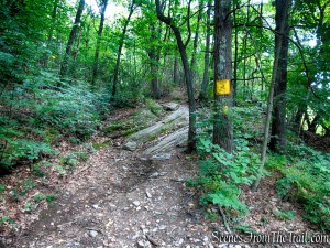 Squaw Cave, Flag Rock and Mohegan Trail Loop – Bolton Notch State Park