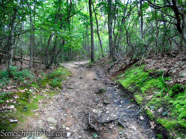 Squaw Cave, Flag Rock and Mohegan Trail Loop – Bolton Notch State Park