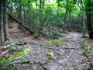 Squaw Cave, Flag Rock and Mohegan Trail Loop – Bolton Notch State Park