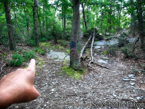Squaw Cave, Flag Rock and Mohegan Trail Loop – Bolton Notch State Park