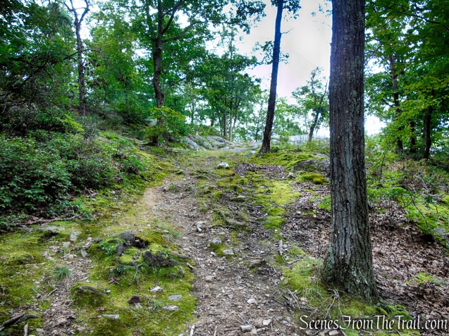 Squaw Cave, Flag Rock and Mohegan Trail Loop – Bolton Notch State Park