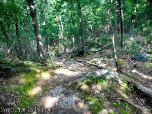 Squaw Cave, Flag Rock and Mohegan Trail Loop – Bolton Notch State Park