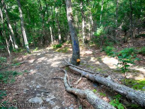 Squaw Cave, Flag Rock and Mohegan Trail Loop – Bolton Notch State Park