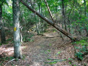 Squaw Cave, Flag Rock and Mohegan Trail Loop – Bolton Notch State Park