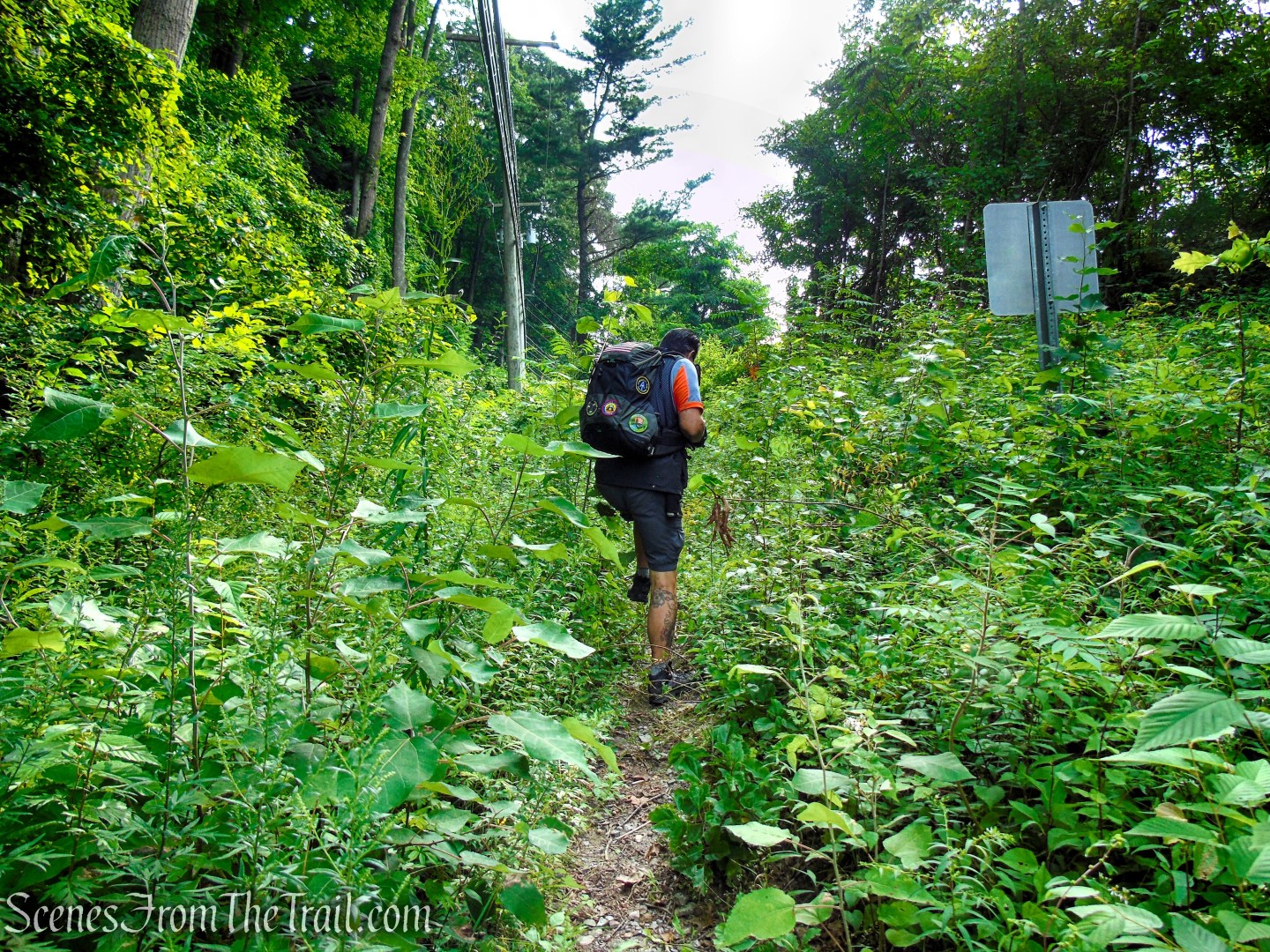 Squaw Cave, Flag Rock and Mohegan Trail Loop – Bolton Notch State Park