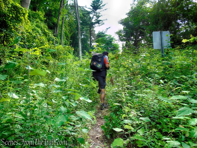 Squaw Cave, Flag Rock and Mohegan Trail Loop – Bolton Notch State Park