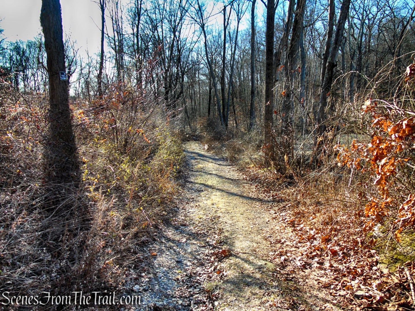King’s Chamber Loop – Fahnestock State Park