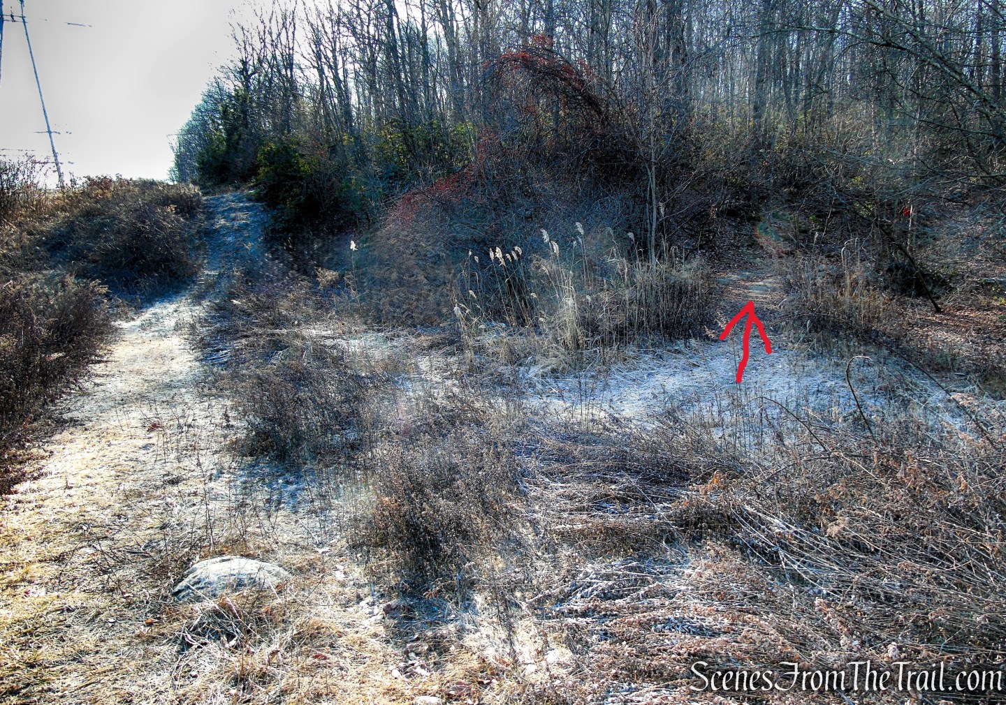 King’s Chamber Loop – Fahnestock State Park