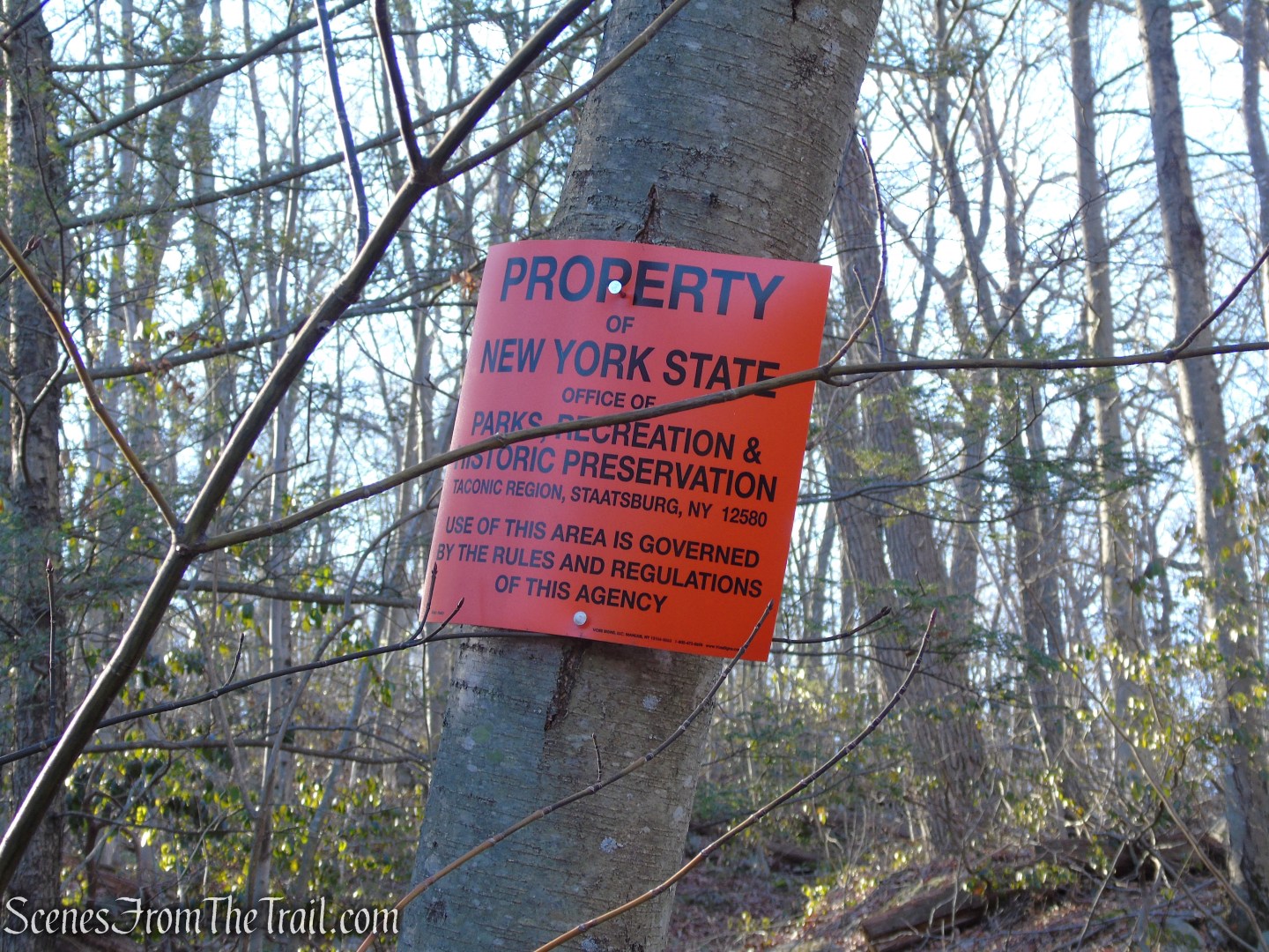 King’s Chamber Loop – Fahnestock State Park