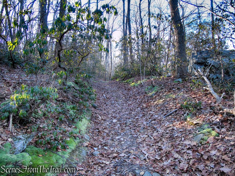King’s Chamber Loop – Fahnestock State Park