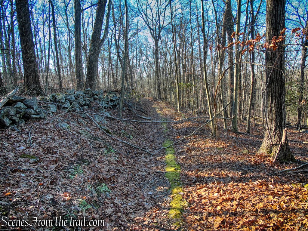 King’s Chamber Loop – Fahnestock State Park