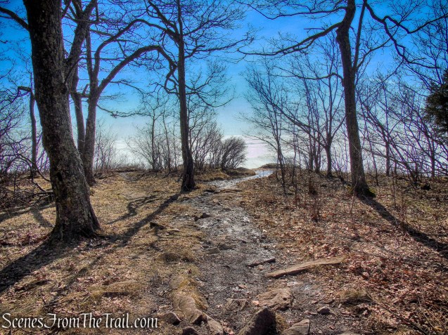 Overlook Mountain Fire Tower – Catskill Park