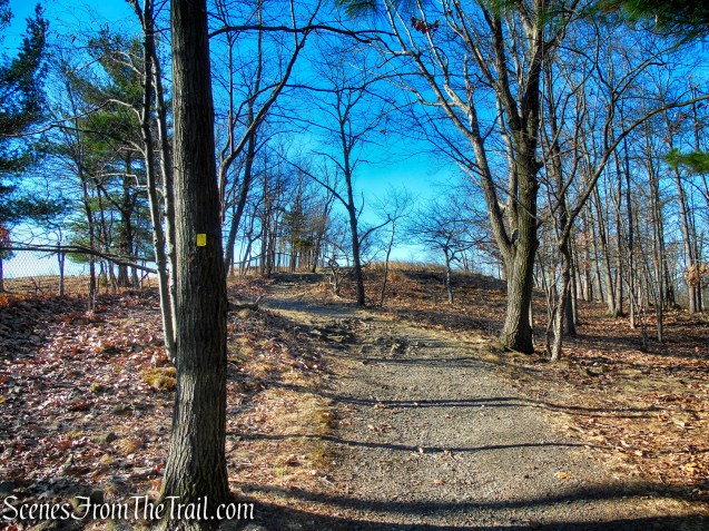 Yellow Trail Loop – Rifle Camp Park