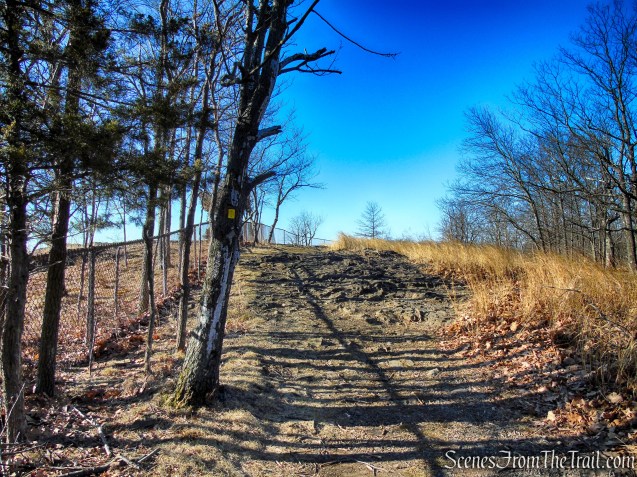 Yellow Trail Loop – Rifle Camp Park
