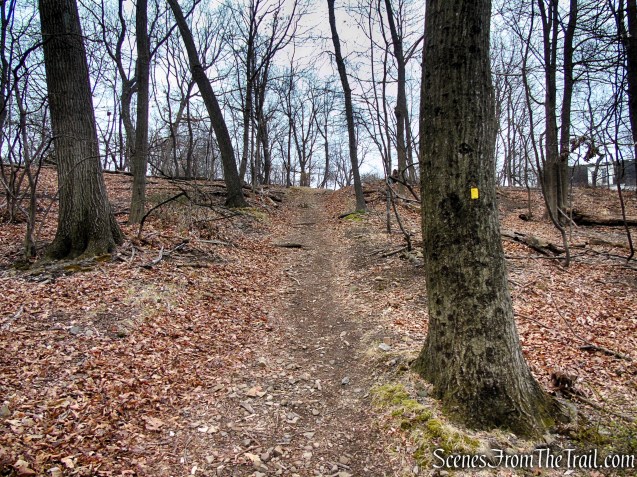 Yellow Trail Loop – Garret Mountain Reservation
