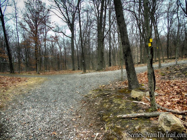 Yellow Trail Loop – Garret Mountain Reservation