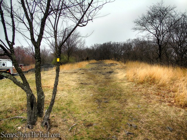 Yellow Trail Loop – Garret Mountain Reservation