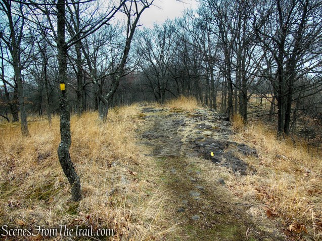 Yellow Trail Loop – Garret Mountain Reservation