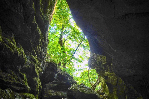 Edward Hamlin Everett